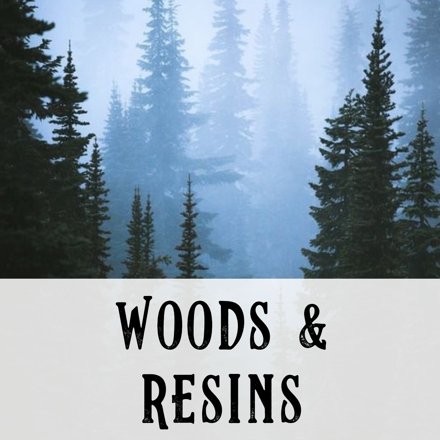 Woods & Resins | Birch & Besom